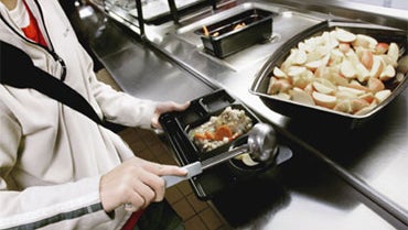 All Categories - nutritiondevelopers