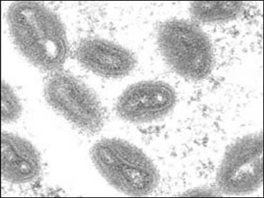 CDC Eyes Smallpox Threat - CBS News