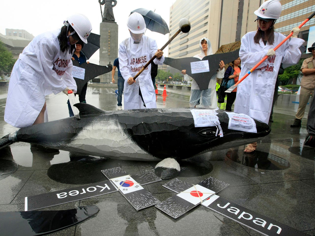 South Korea to kill whales for scientific research, sparking protests ...