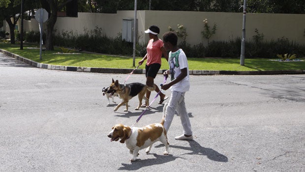 South Africa president: Pets are "white culture" - CBS News