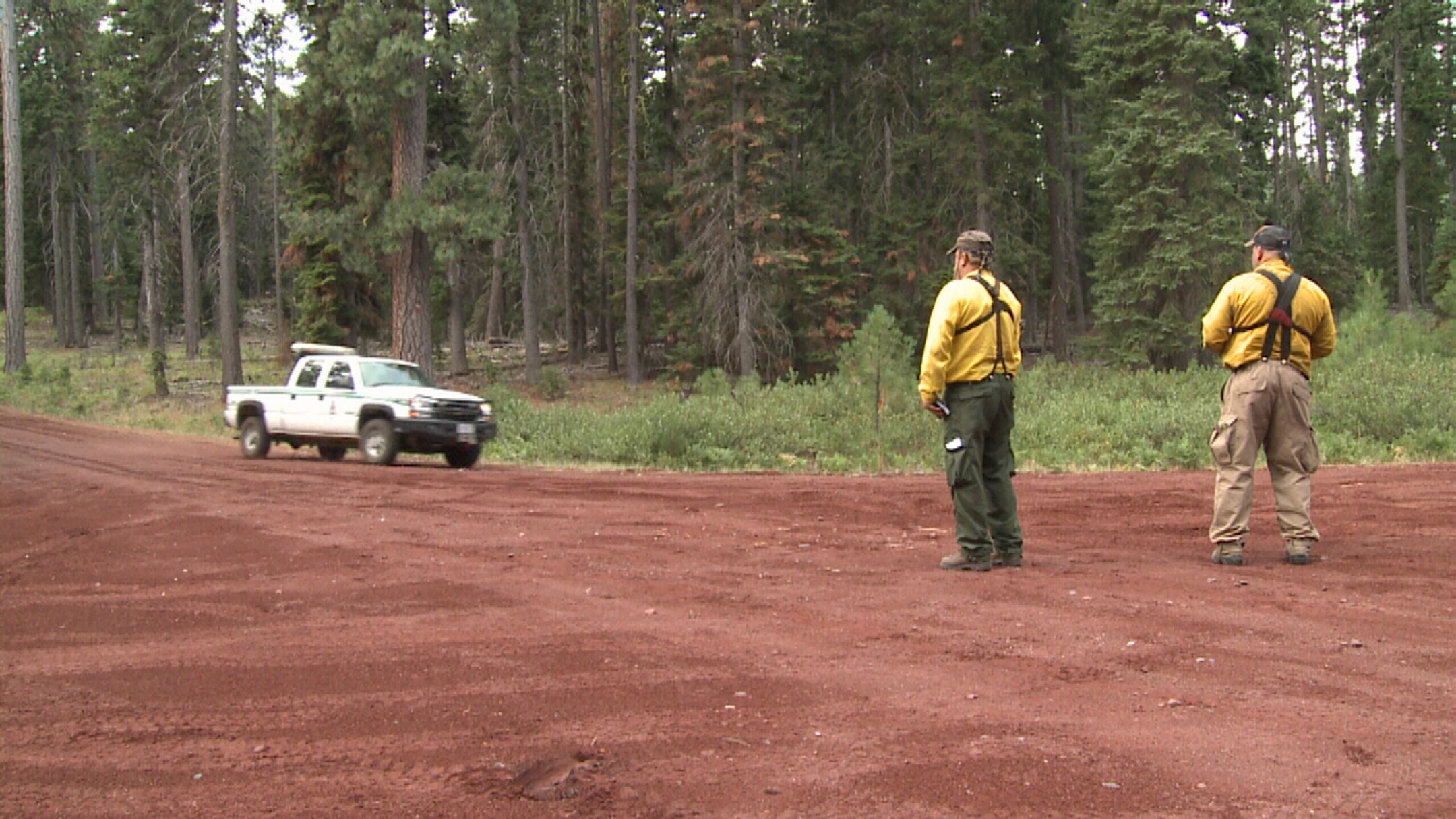 Firefighter killed by tree in Ore. is 28th to die - CBS News