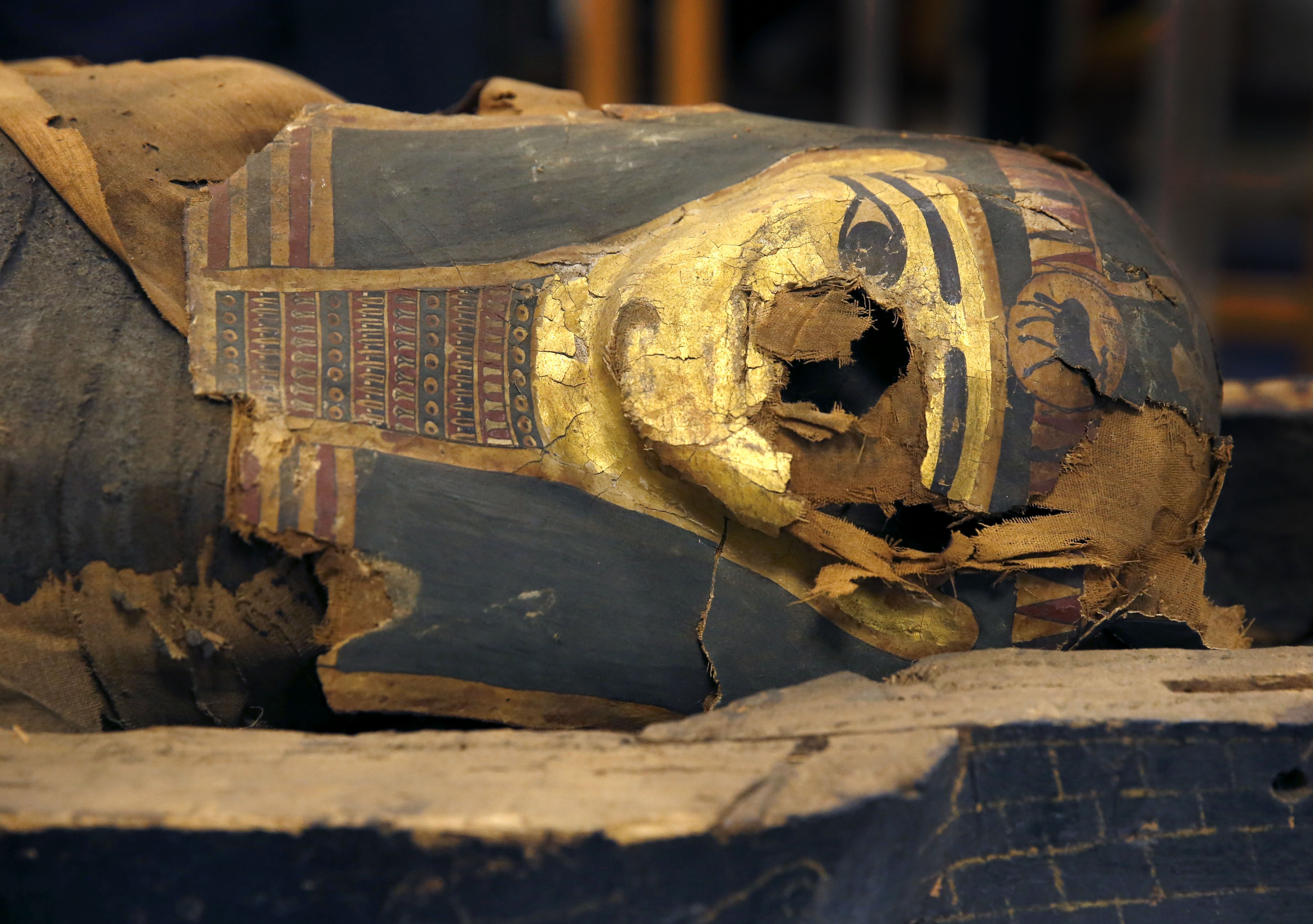 The First Genome Data From Ancient Egyptian Mummies Is In CBS News The First Genome Data From Ancient Egyptian Mummies Is In CBS News