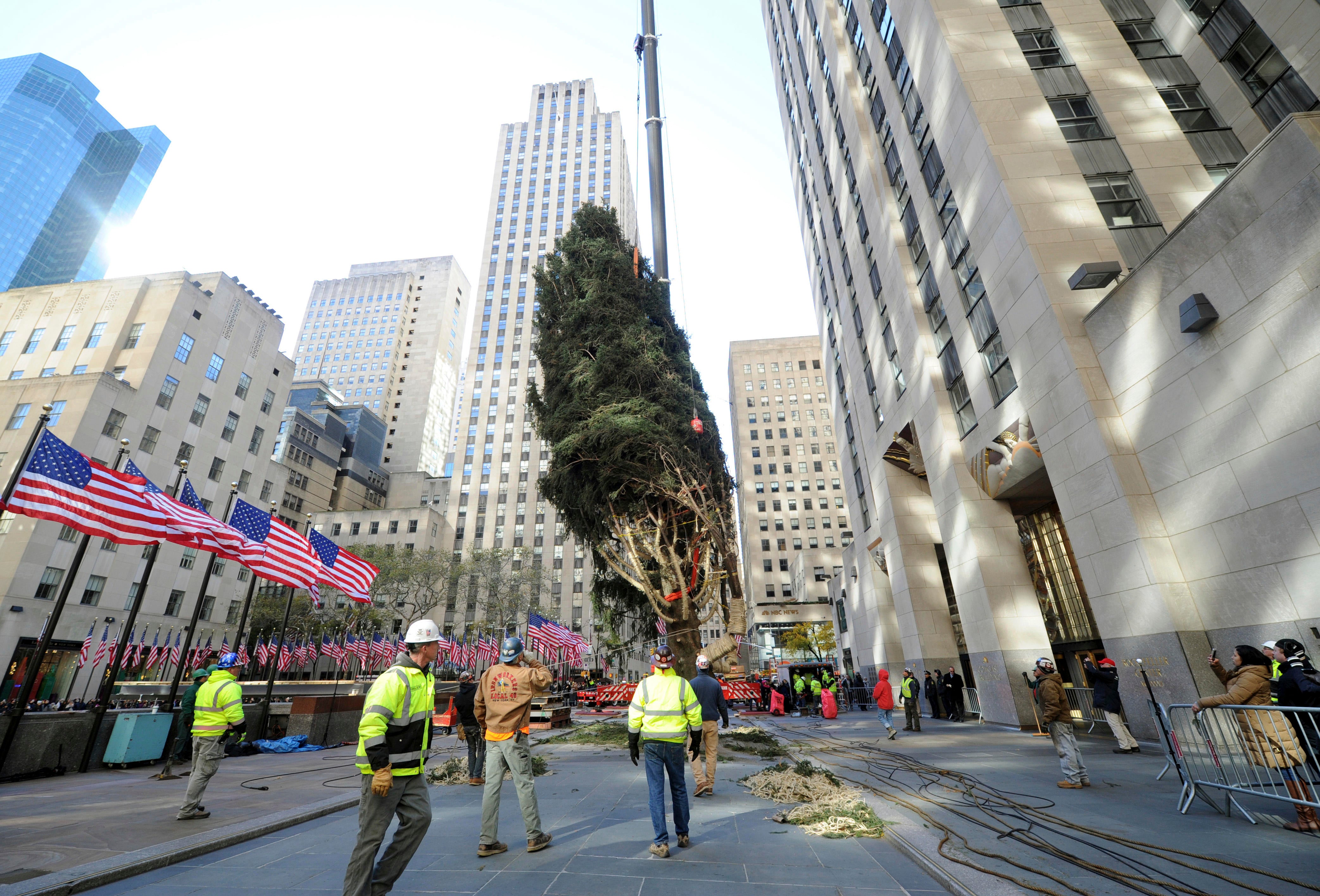 2017 Rockefeller Center Christmas tree arrives in New York City - CBS News