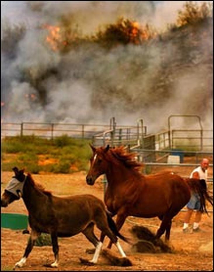 August 2003 Wildfires - Photo 1 - Pictures - CBS News
