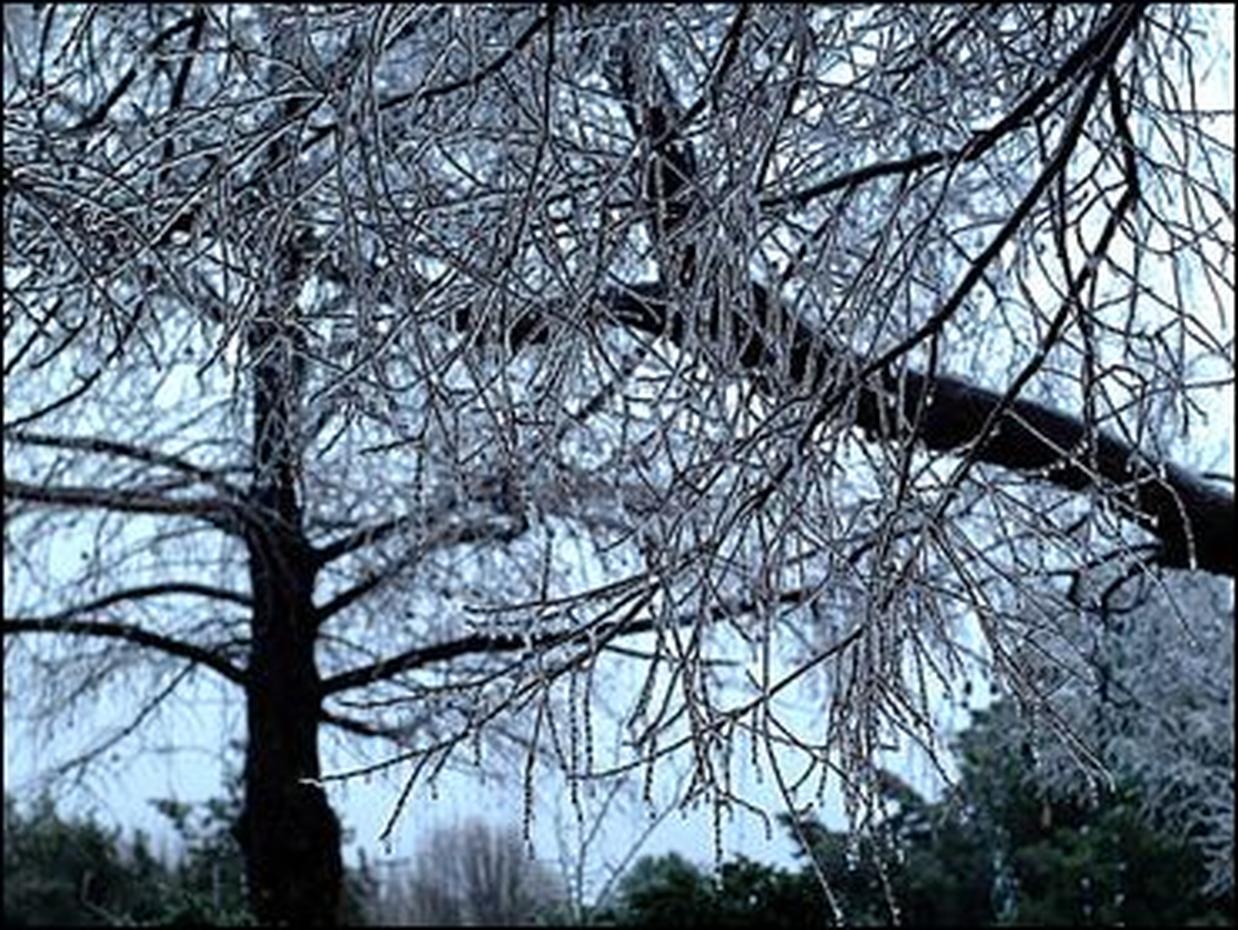 Western Storm - Photo 1 - Pictures - CBS News
