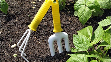 Frida dog Mexico: Frida the hero rescue dog — who became a symbol of ...