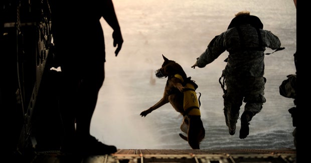Sniffing For Bombs: Meet America's most elite dogs - CBS News