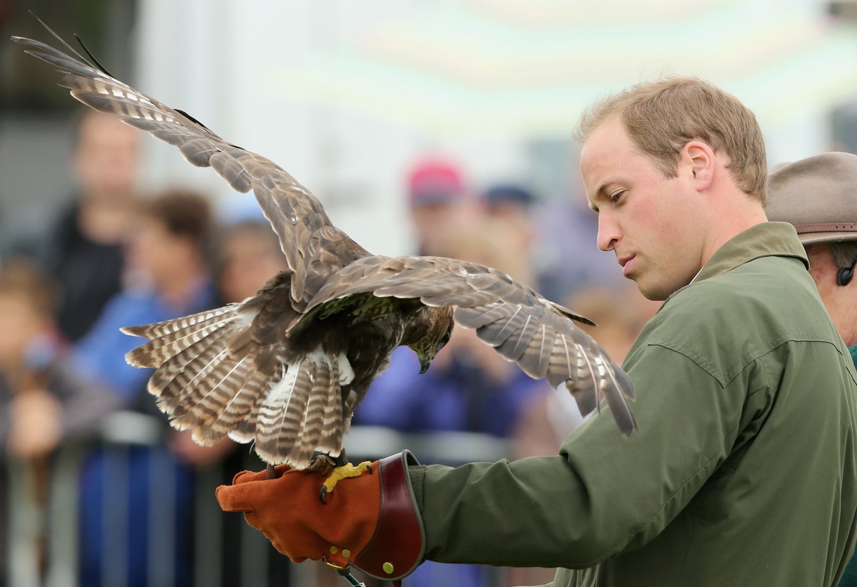 Prince William talks with the animals