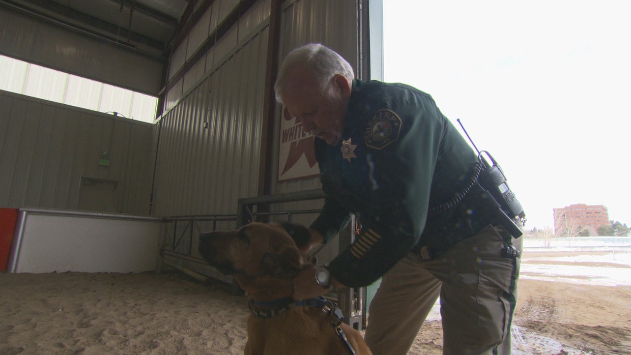 Identical DeWild twins nearly pull off perfect crime