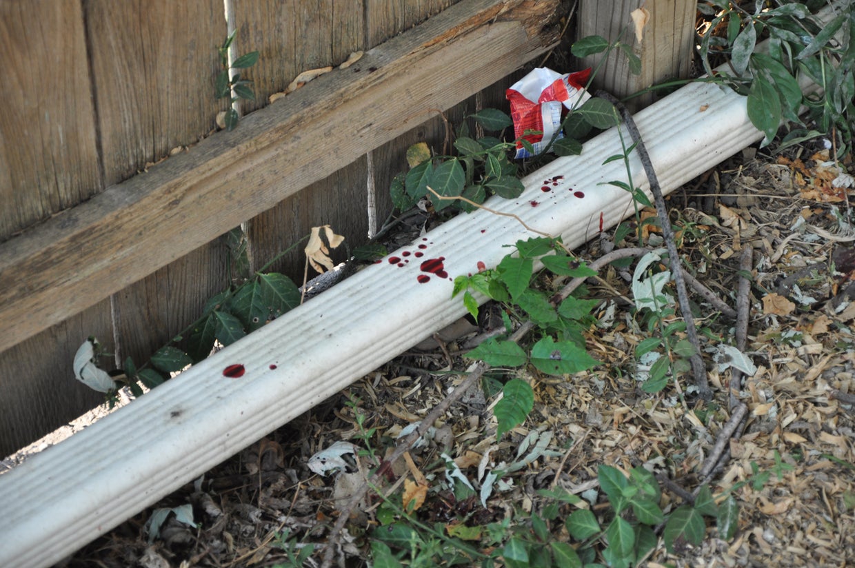 Amy Weidner murder: Bringing a killer to justice