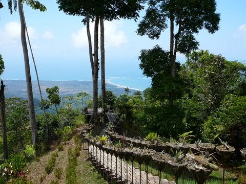 John and Ann Bender's life in paradise - CBS News