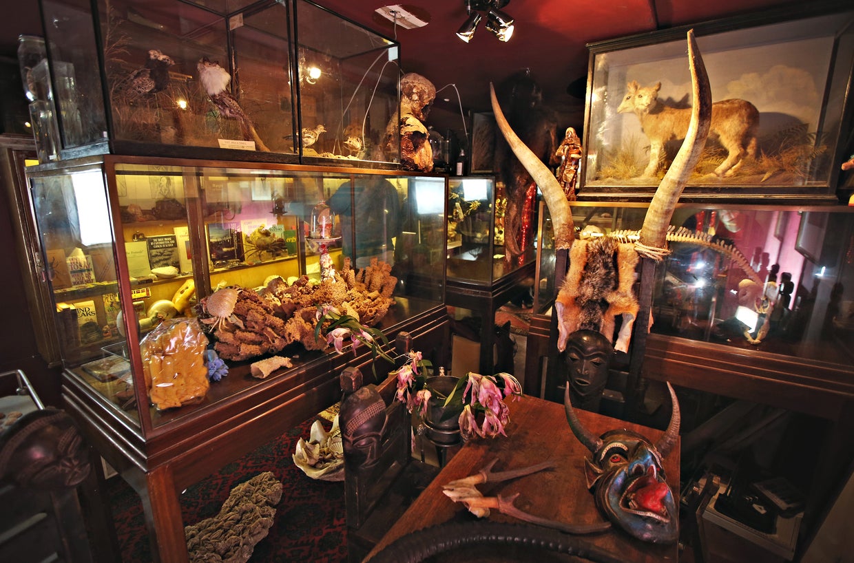 U.K. museum of curiosities - CBS News