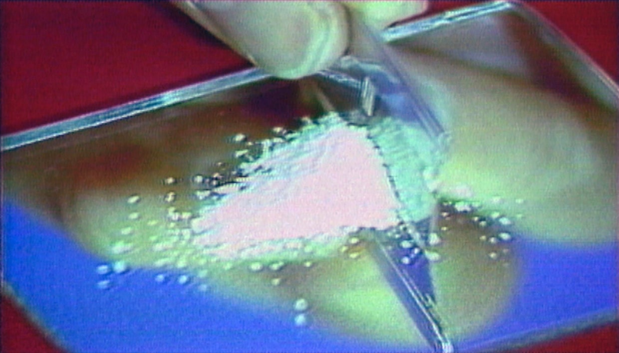 1985: CBS News discovers ecstasy for the first time - CBS News