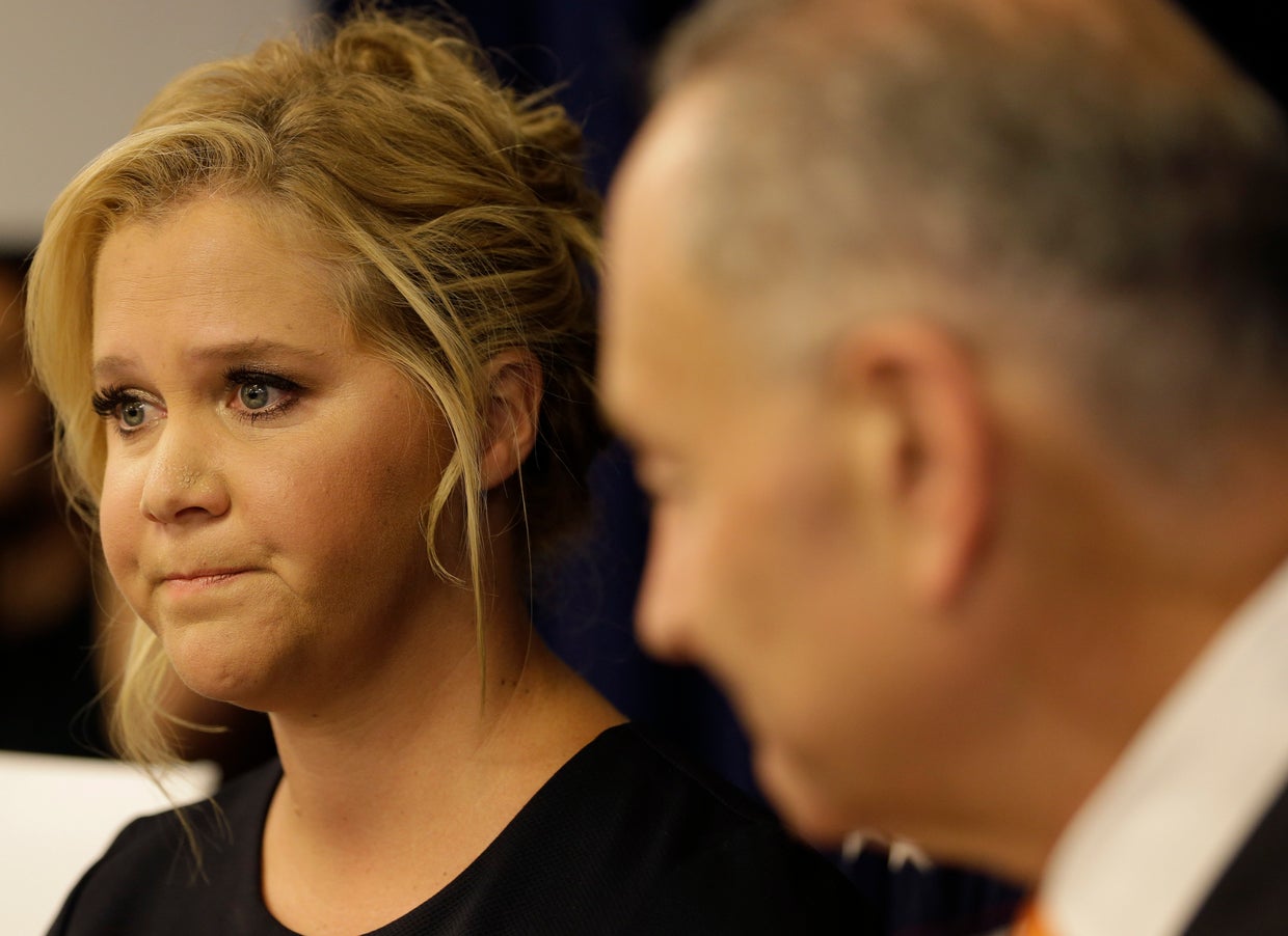Sen. Chuck Schumer and comedian Amy Schumer team up on gun control ...