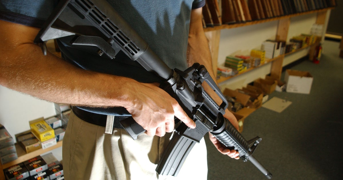 Why the AR-15 is America's gun