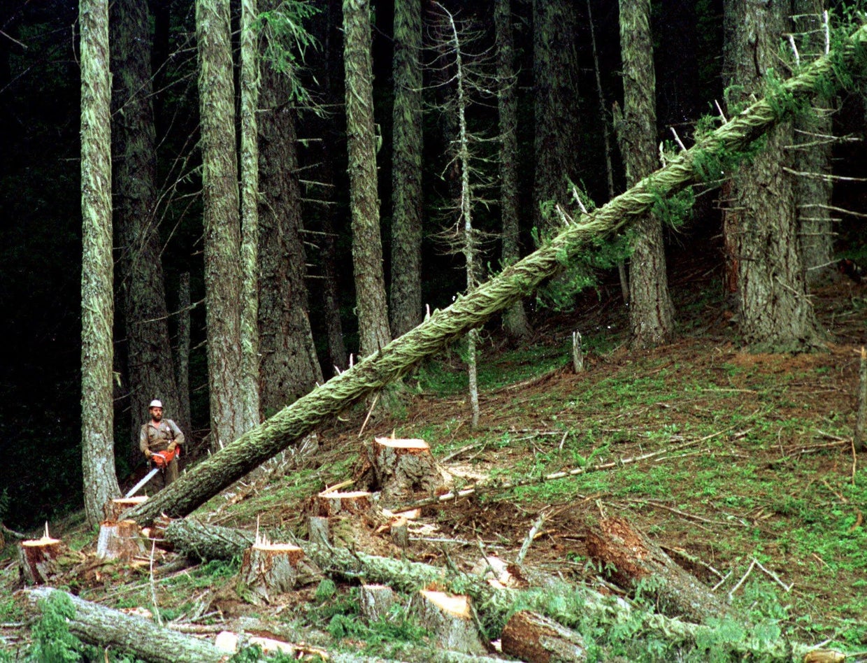 The 20 deadliest jobs in America, ranked