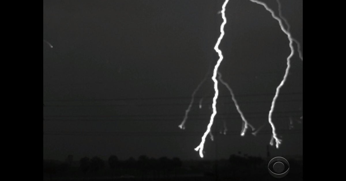 Lightning Alley Florida