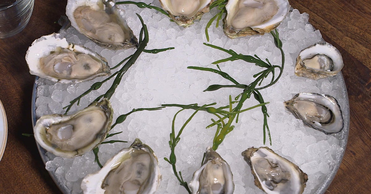Aw, shucks! A renaissance period for oysters - CBS News
