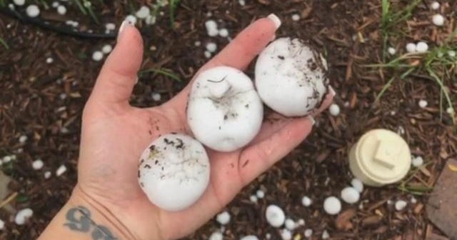 Dangerous hail causes injuries, damage in Colorado - CBS News