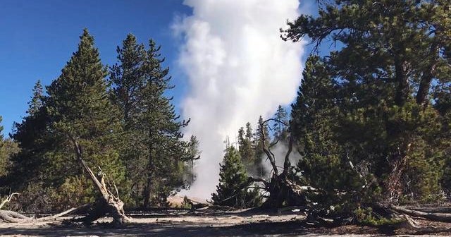Long-dormant Yellowstone geyser spews decades-old trash - CBS News