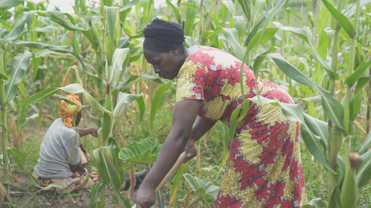 Rwandan women rebuild their country from the ground up after genocide ...