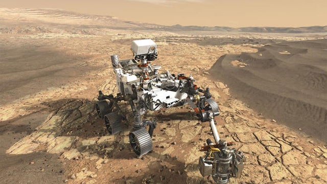 Growing appetite for edible insects a tough sell in U.S. - CBS News