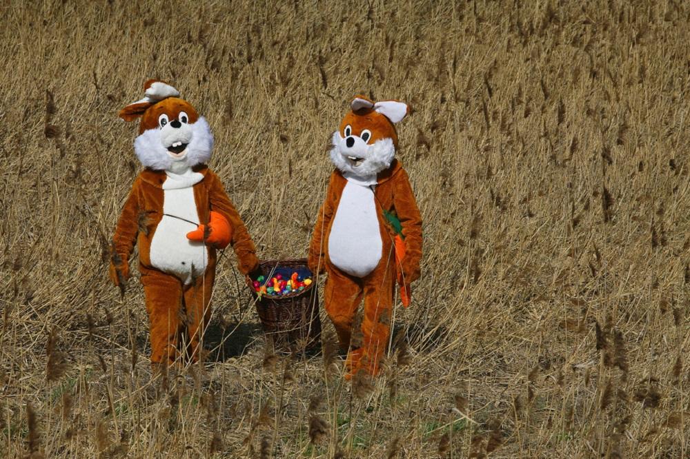 Awkward Easter bunny photos from family Easter pictures