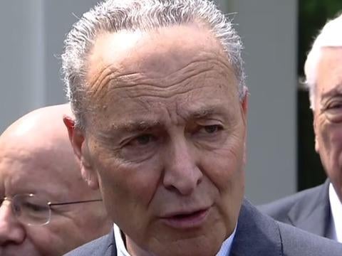 Beluga whale possibly linked to Russian military is affectionate ...