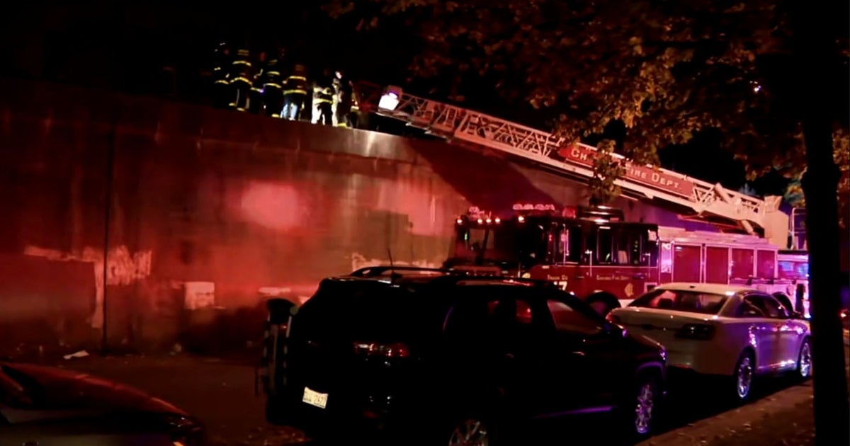 Multiple CTA 'L' Lines Snagged After Body Is Found Under Red/Purple ...