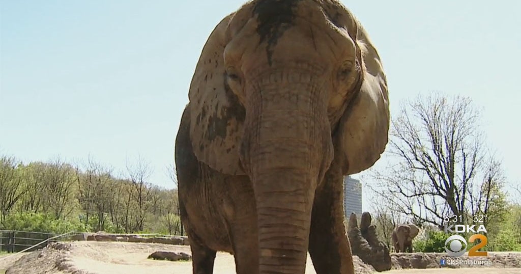 Researchers In London Using Thermal Imaging To Potentially Help ...