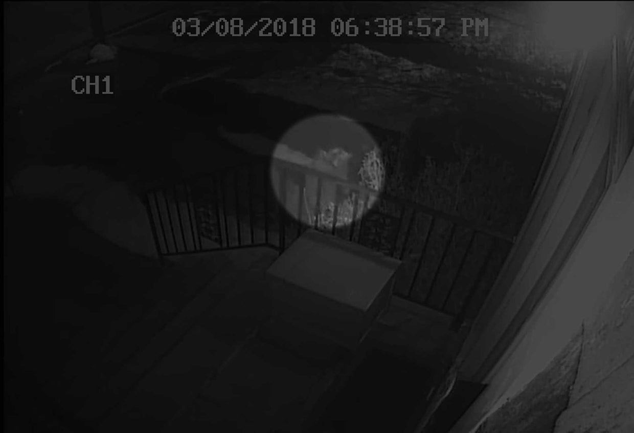 Haley Anderson murder: Crime scene evidence photos - CBS News