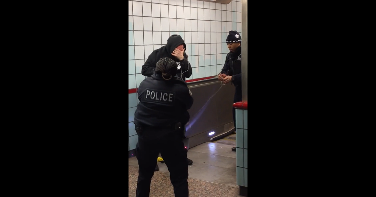 Police Watchdog Agency Releases New Videos Of Officer Shooting Ariel ...