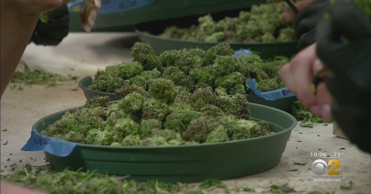 Companies That Lost Out On Lottery For Marijuana Dispensary Licenses To ...