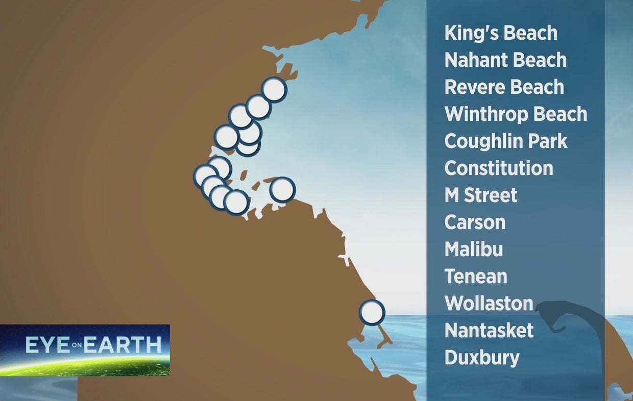 Stone Living Lab Project Is Helping Boston Find Nature-Based Solutions ...