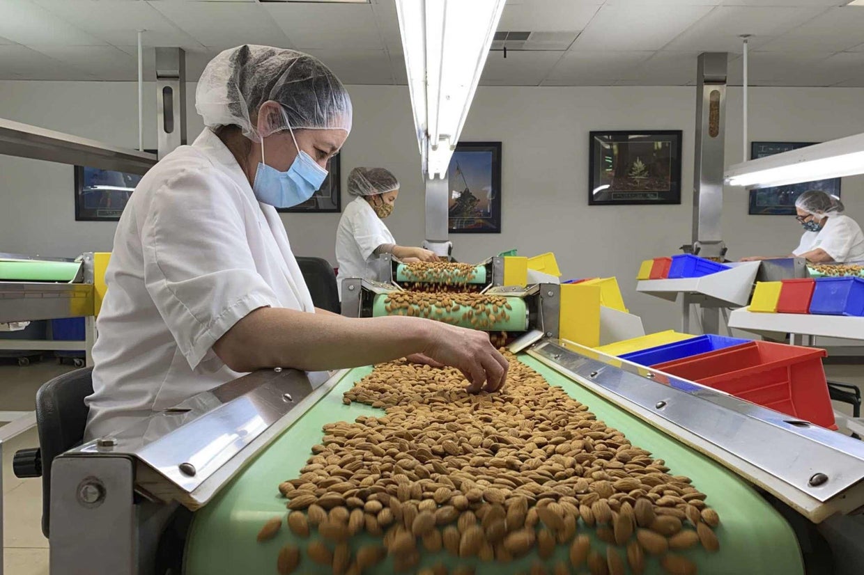 Historic drought could torch California's $6 billion almond industry ...