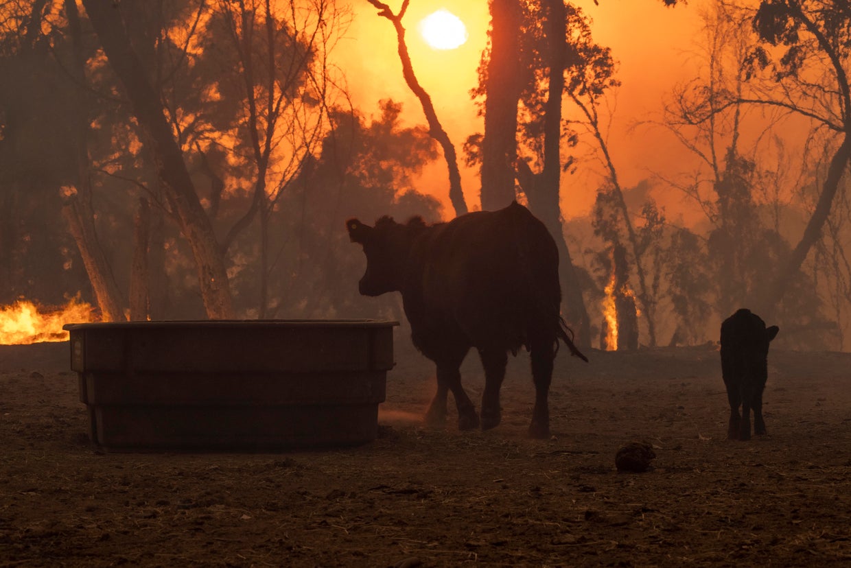 Stunning photos of climate change