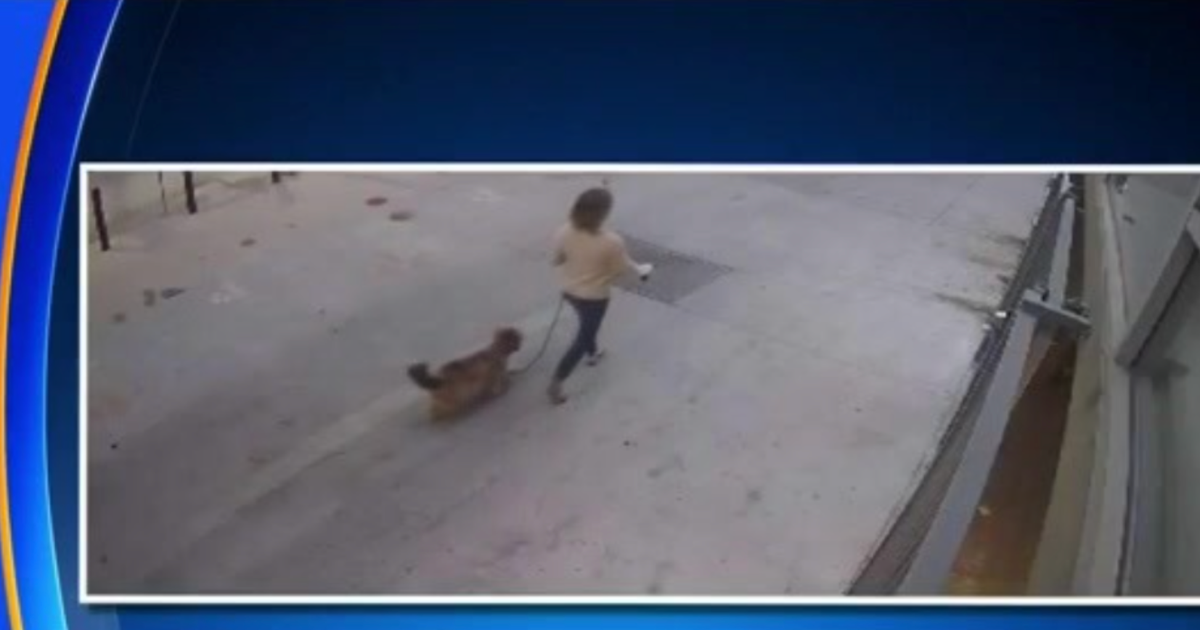 Exclusive: New Video Shows Heidi Planck In Downtown LA Less Than An ...