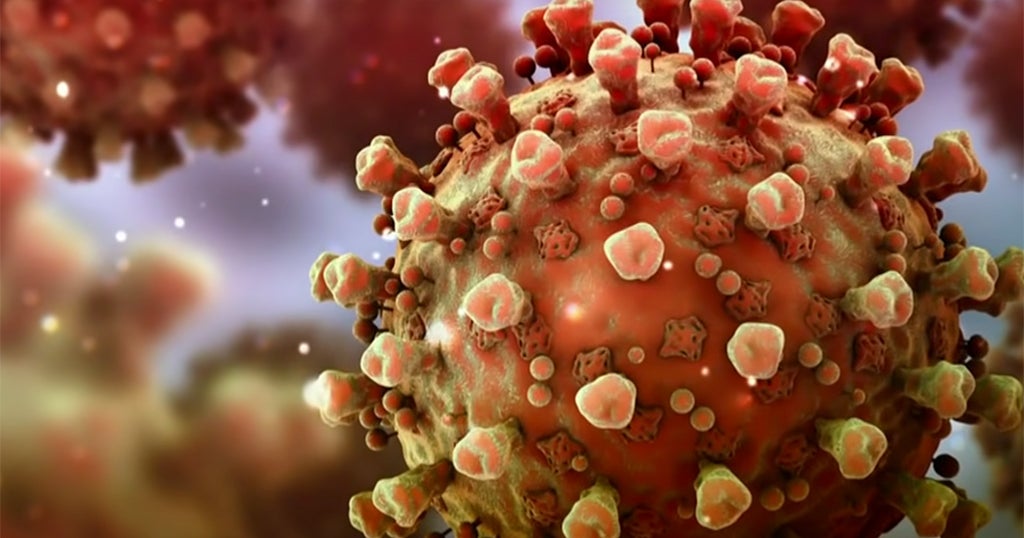 New COVID Variant 'Omicron' Identified In San Francisco; Here's What ...